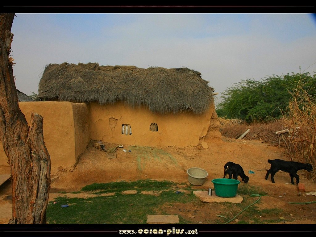 _| Ecran + Plus |_ Village dans le désert du Thar - Rajasthan - Inde